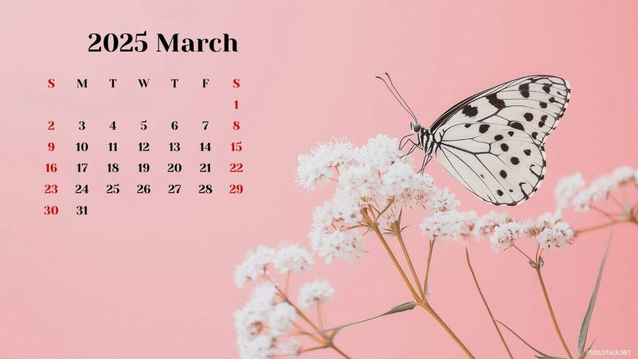 March 2025 Calendar Desktop Wallpapers - PixelsTalk