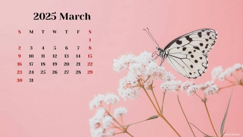 March 2025 Calendar Desktop Wallpapers - PixelsTalk