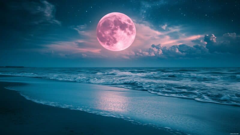 Pink Moon Wallpaper for Desktop - PixelsTalk