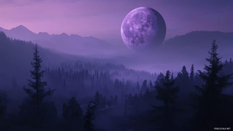 Purple Moon Wallpapers - PixelsTalk