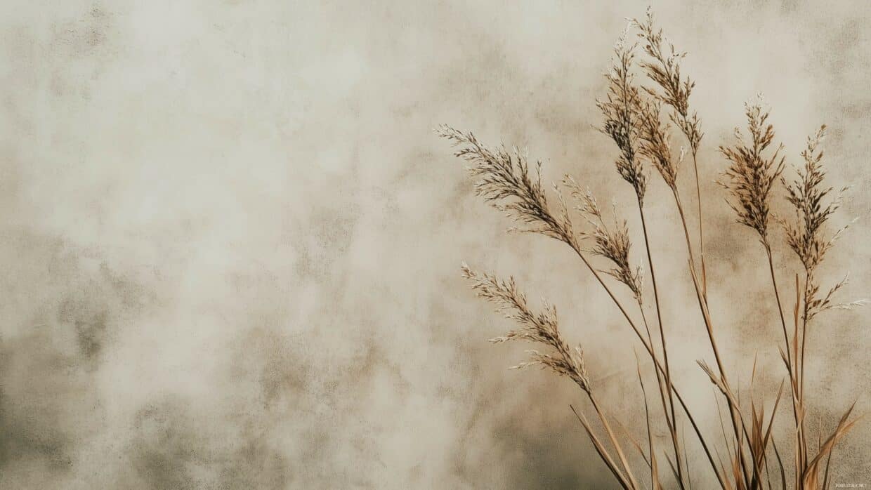 HD Laptop Backgrounds - PixelsTalk