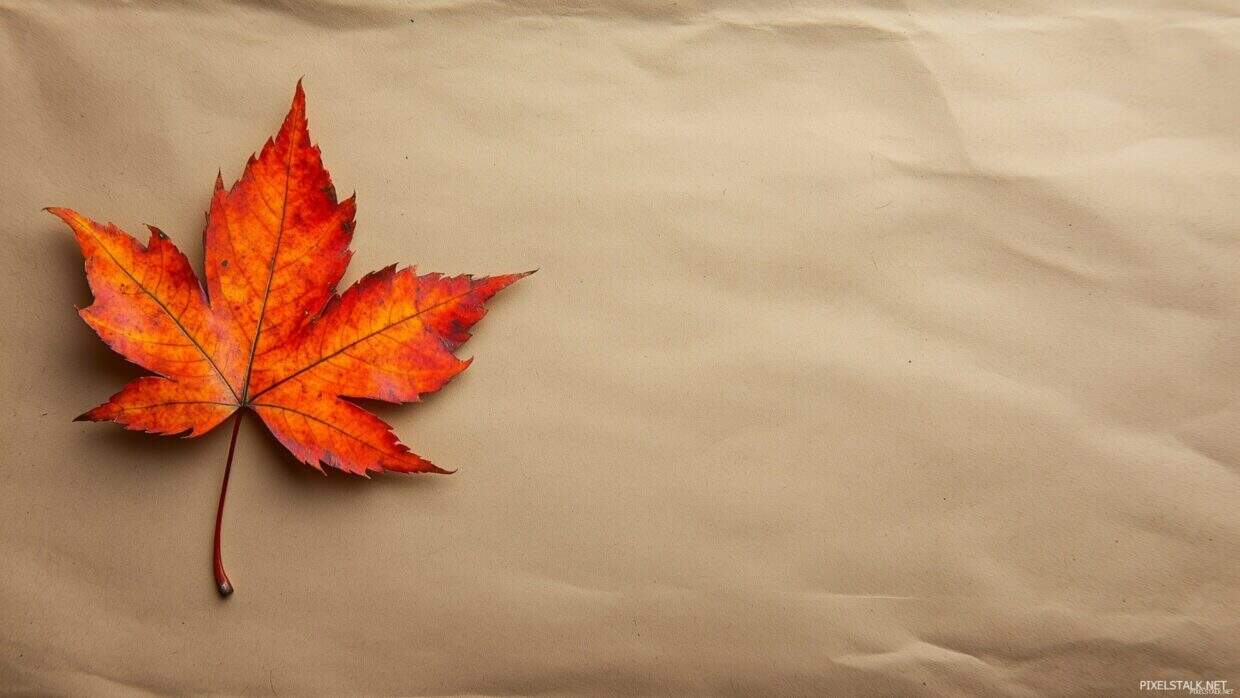 Autumn Leaves Desktop Wallpapers - PixelsTalk