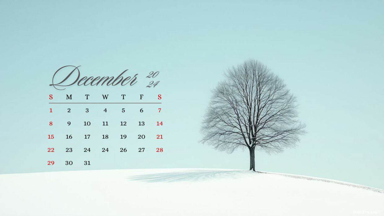 December 2024 Calendar Desktop Wallpapers - PixelsTalk