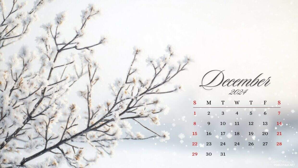 December 2024 Calendar Desktop Wallpapers - PixelsTalk