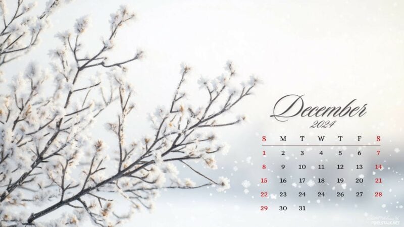 December 2024 Calendar Desktop Wallpapers - PixelsTalk
