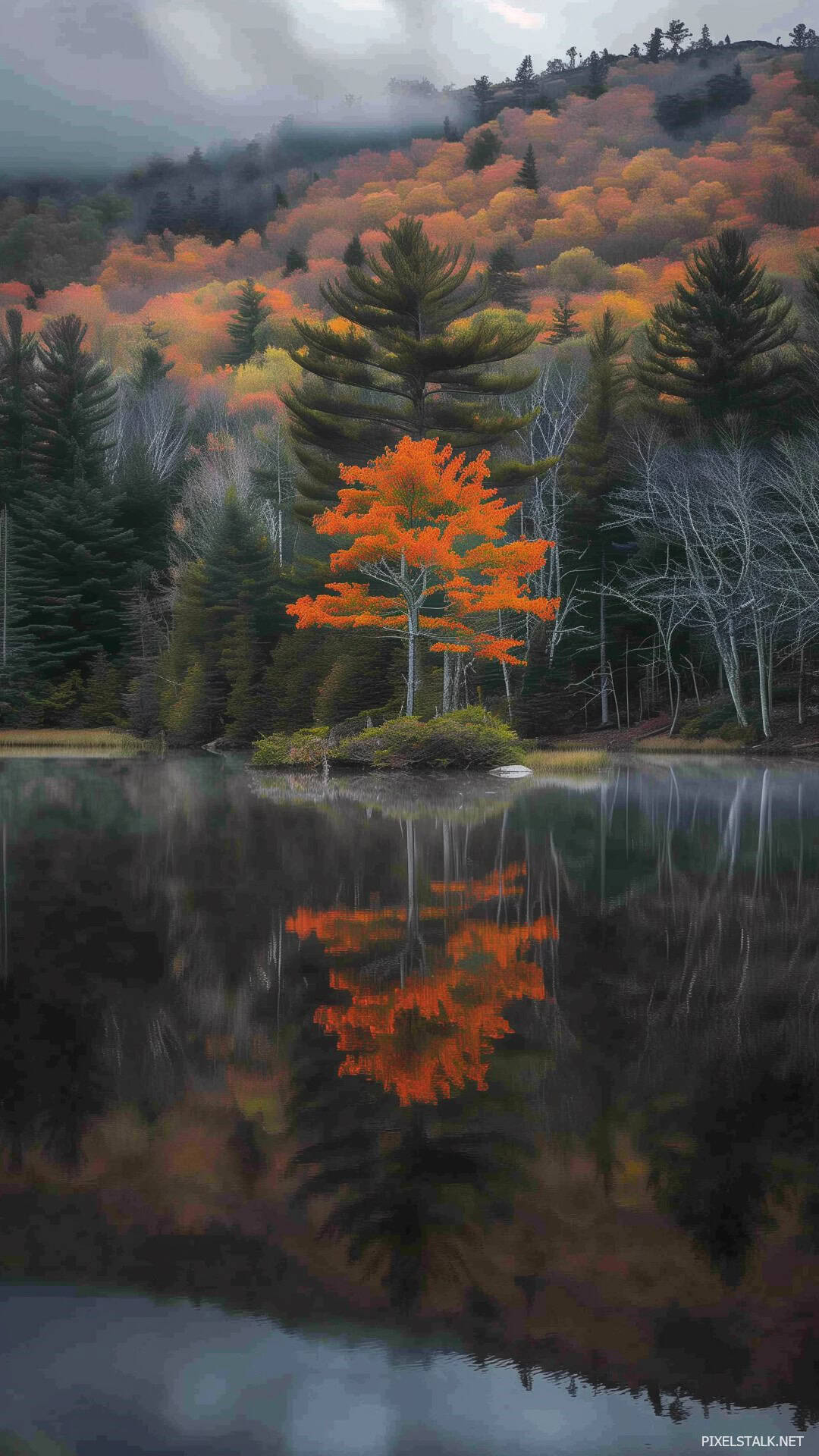 Fall phone wallpapers - PixelsTalk