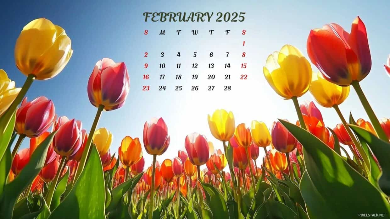 February 2025 Calendar Desktop Backgrounds - PixelsTalk