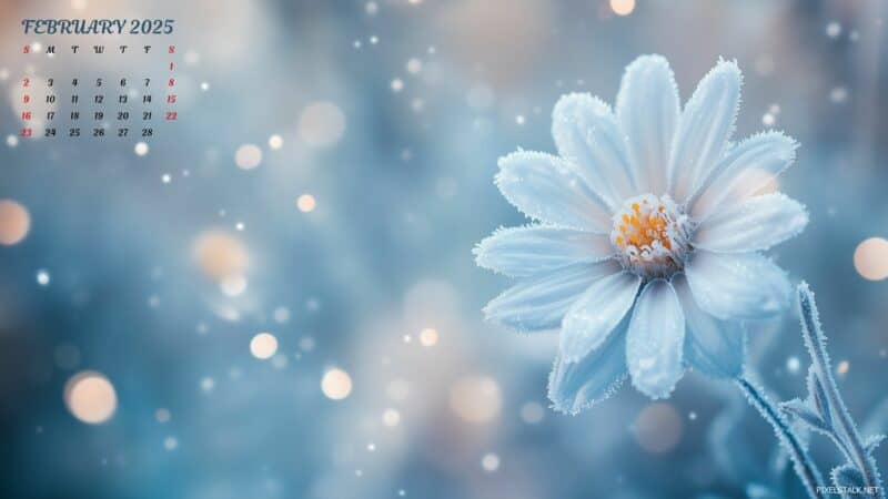 February 2025 Calendar Desktop Backgrounds - PixelsTalk