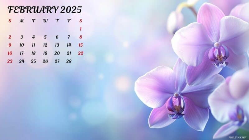 February 2025 Calendar Desktop Wallpapers - PixelsTalk