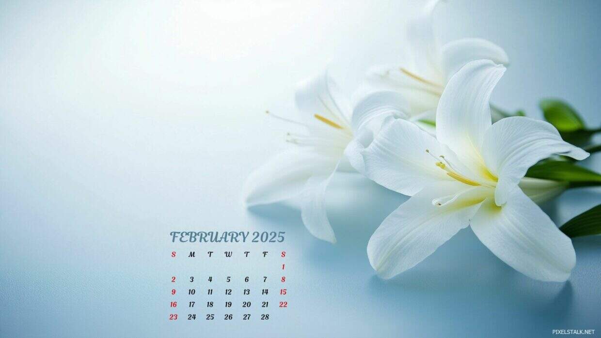 February 2025 Calendar Desktop Wallpapers - PixelsTalk