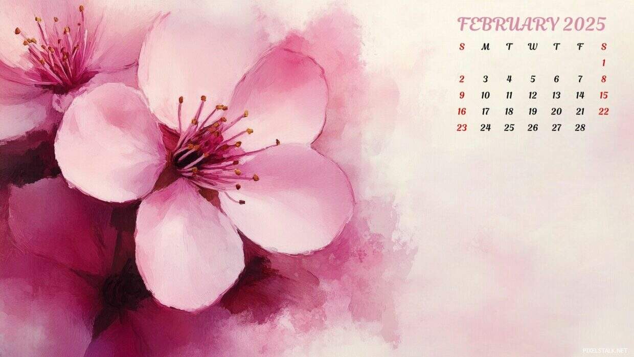 February 2025 Calendar Wallpaper HD - PixelsTalk