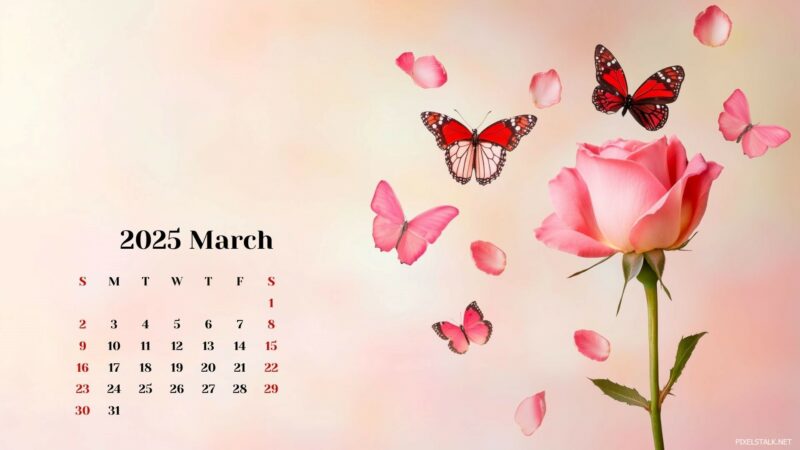 March 2025 Calendar Wallpaper HD - PixelsTalk