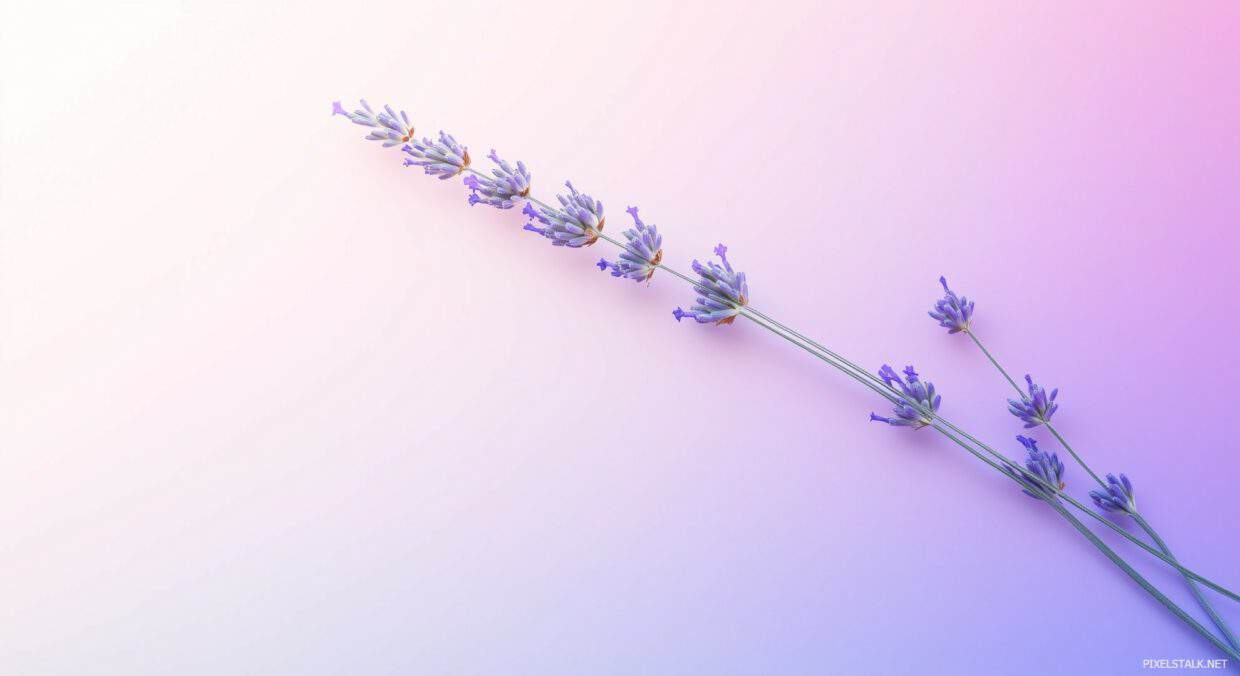 Minimalist Spring Wallpaper HD - PixelsTalk