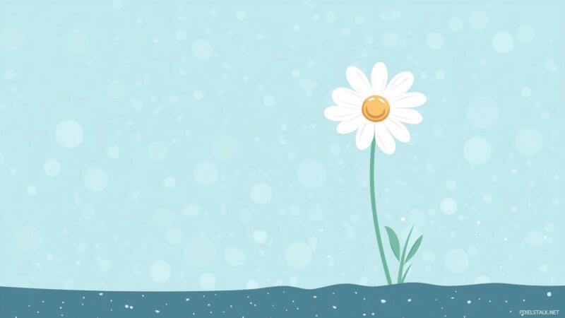 Minimalist Spring Wallpaper HD - PixelsTalk