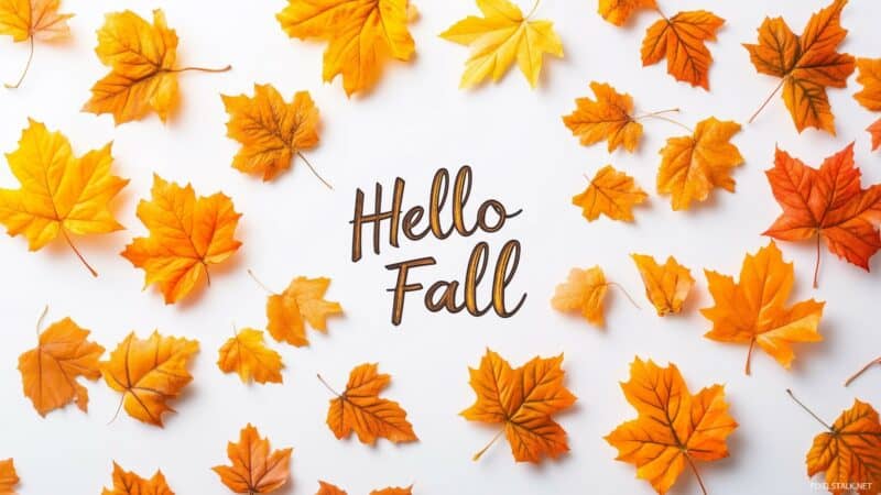 Autumn Leaves Desktop Wallpapers - PixelsTalk