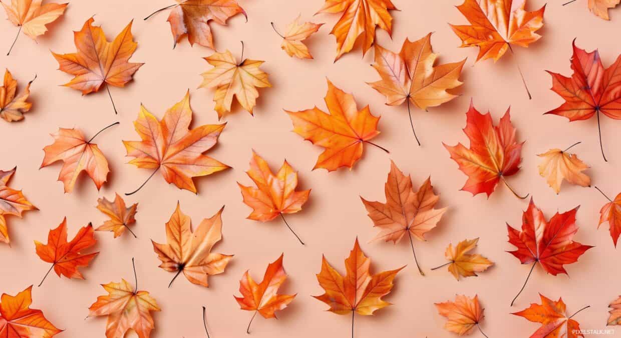 Aesthetic Fall Leaves Wallpaper - PixelsTalk