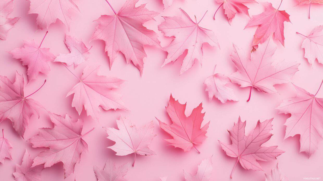 Pink Fall HD Wallpapers - PixelsTalk