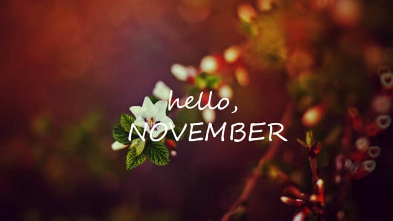 Hello November HD Wallpapers - PixelsTalk