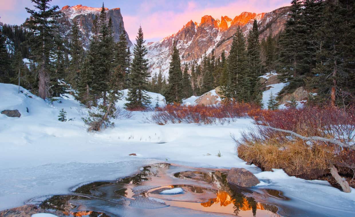 Wild Wallpaper HD - PixelsTalk