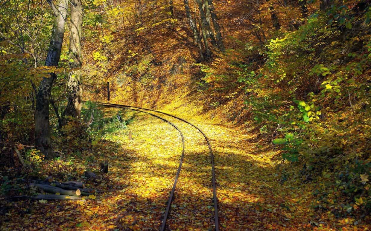 October Wallpaper HD for desktop - PixelsTalk