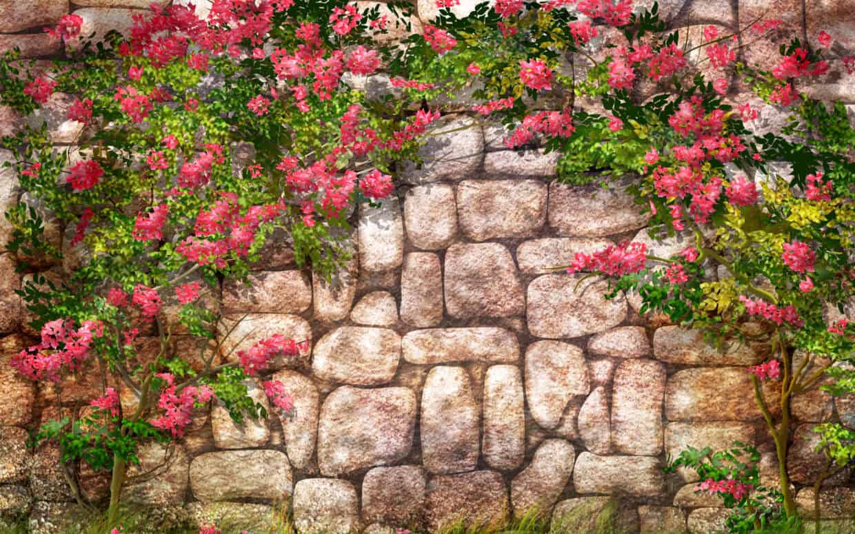 Best Wall Wallpaper - PixelsTalk