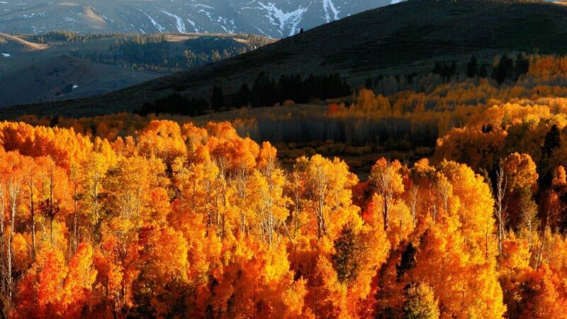 October Wallpaper HD for desktop - PixelsTalk