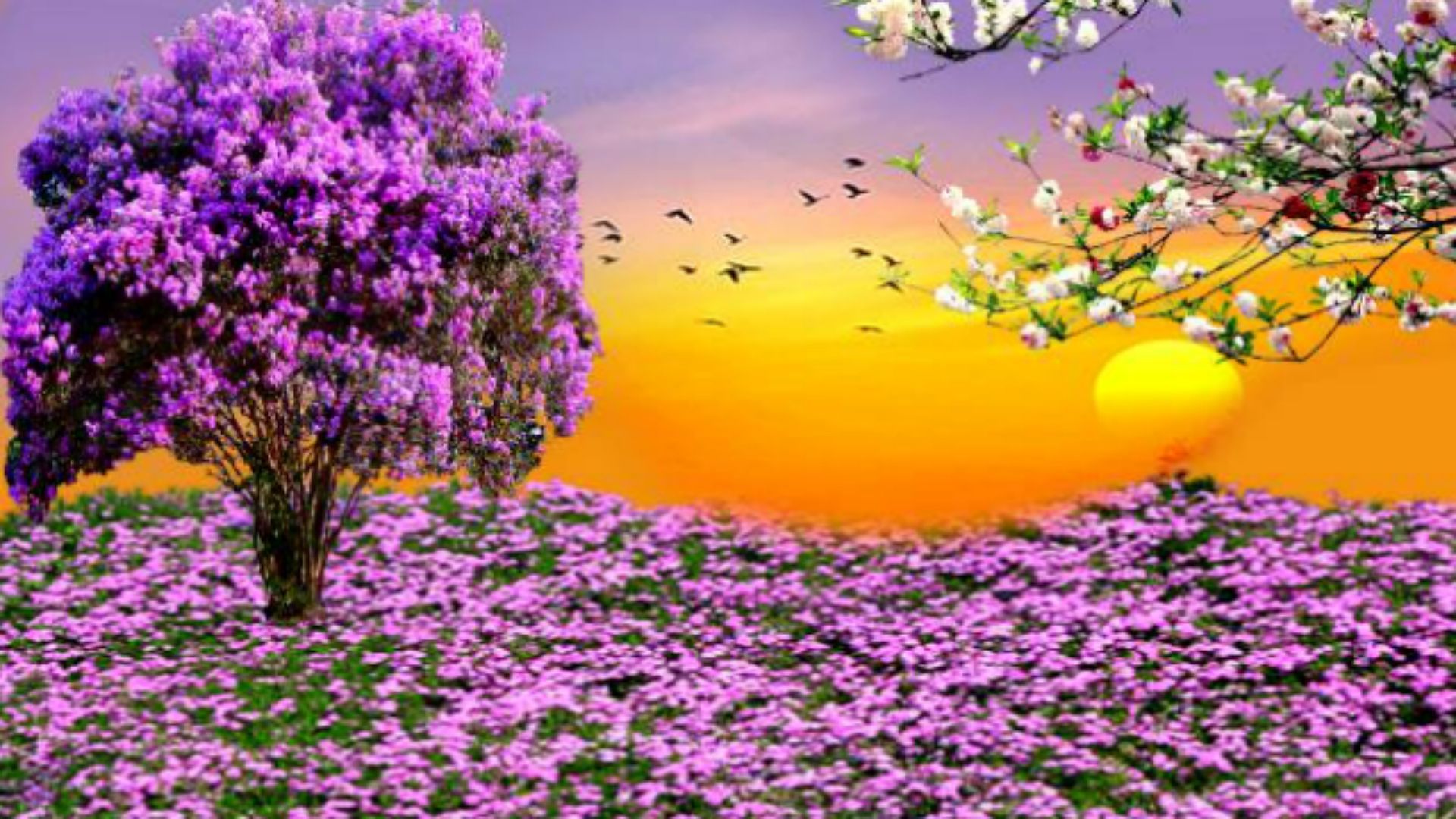Spring Backgrounds Free Download Spring Backgrounds Free Download