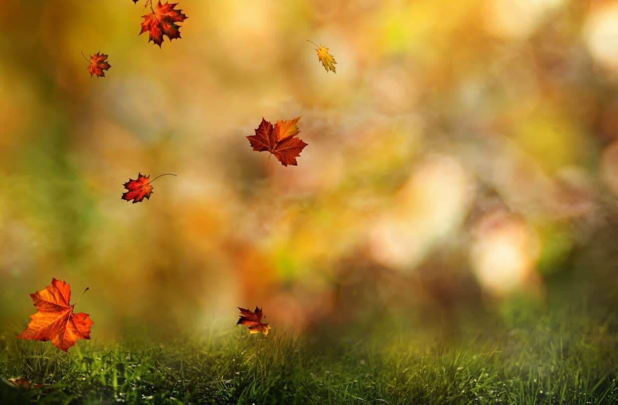 September Wallpapers HD for Desktop - PixelsTalk