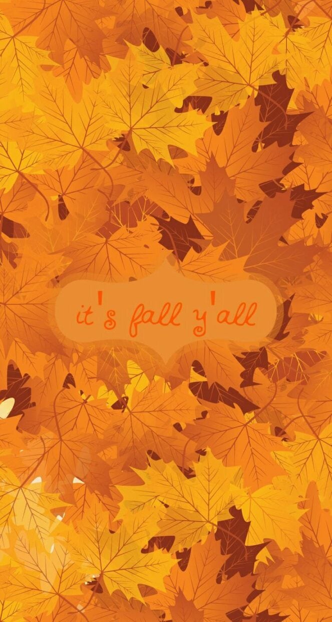 Cute Fall Wallpapers for iPhone - PixelsTalk