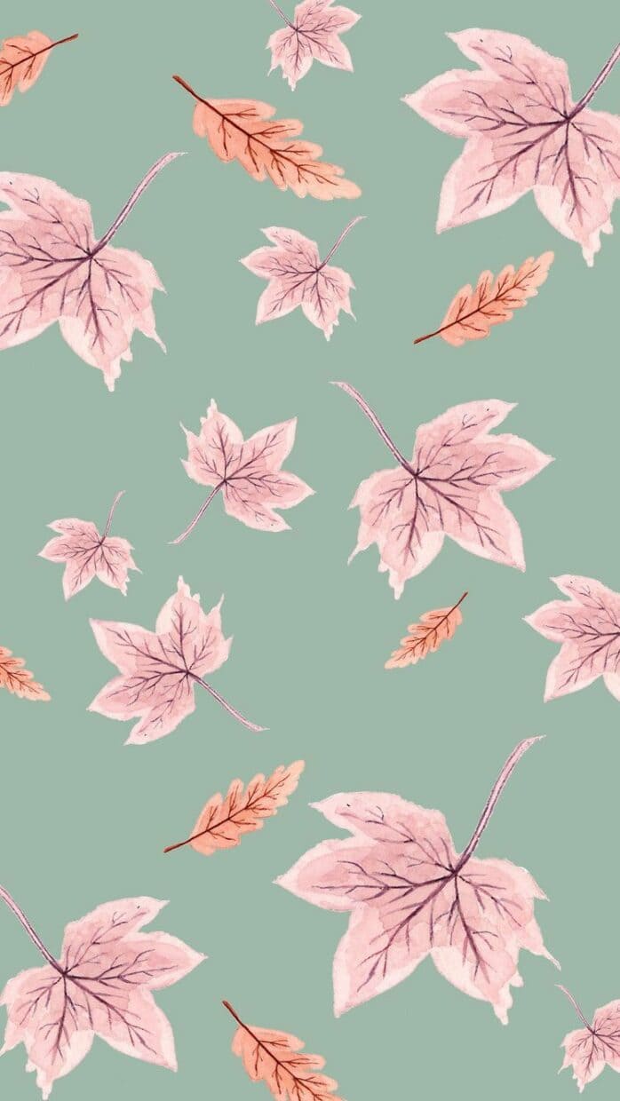 Cute Fall Wallpapers for iPhone - PixelsTalk