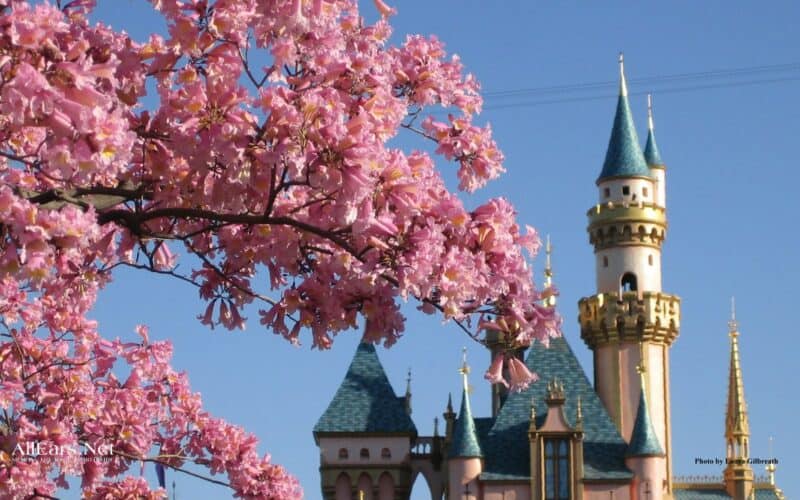 Disney Fall Wallpapers Computer - PixelsTalk