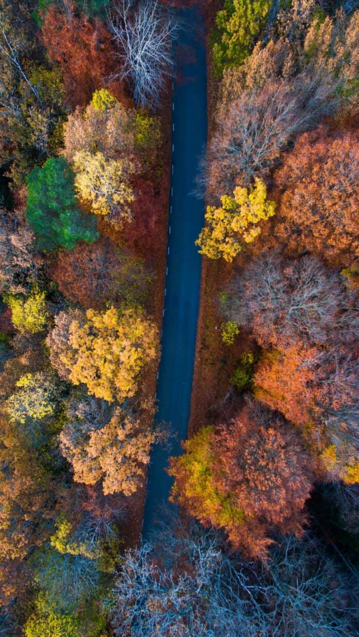 Fall Wallpaper for Android - PixelsTalk