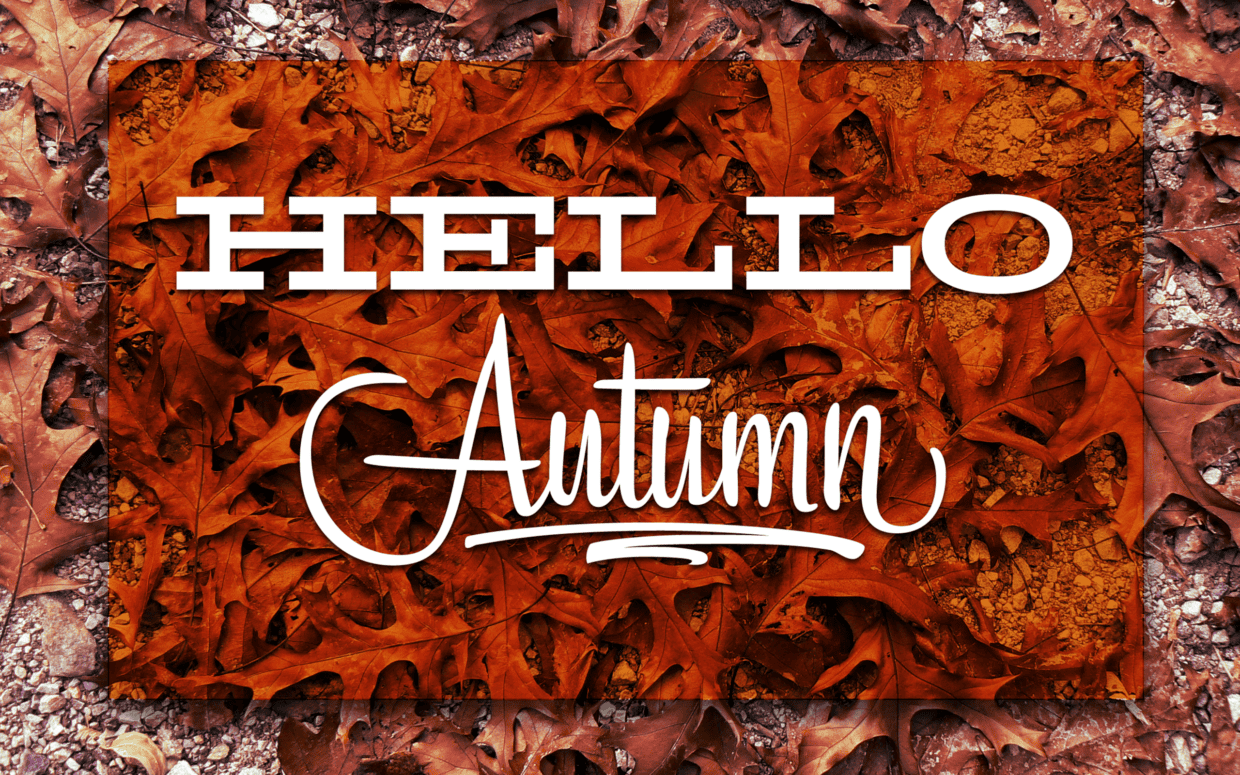 Hello Fall Wallpapers HD for PC - PixelsTalk