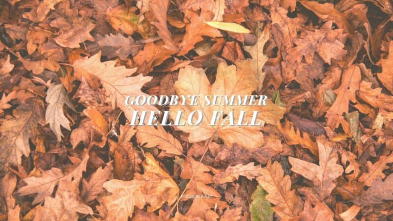 Hello Fall Wallpapers HD for PC - PixelsTalk