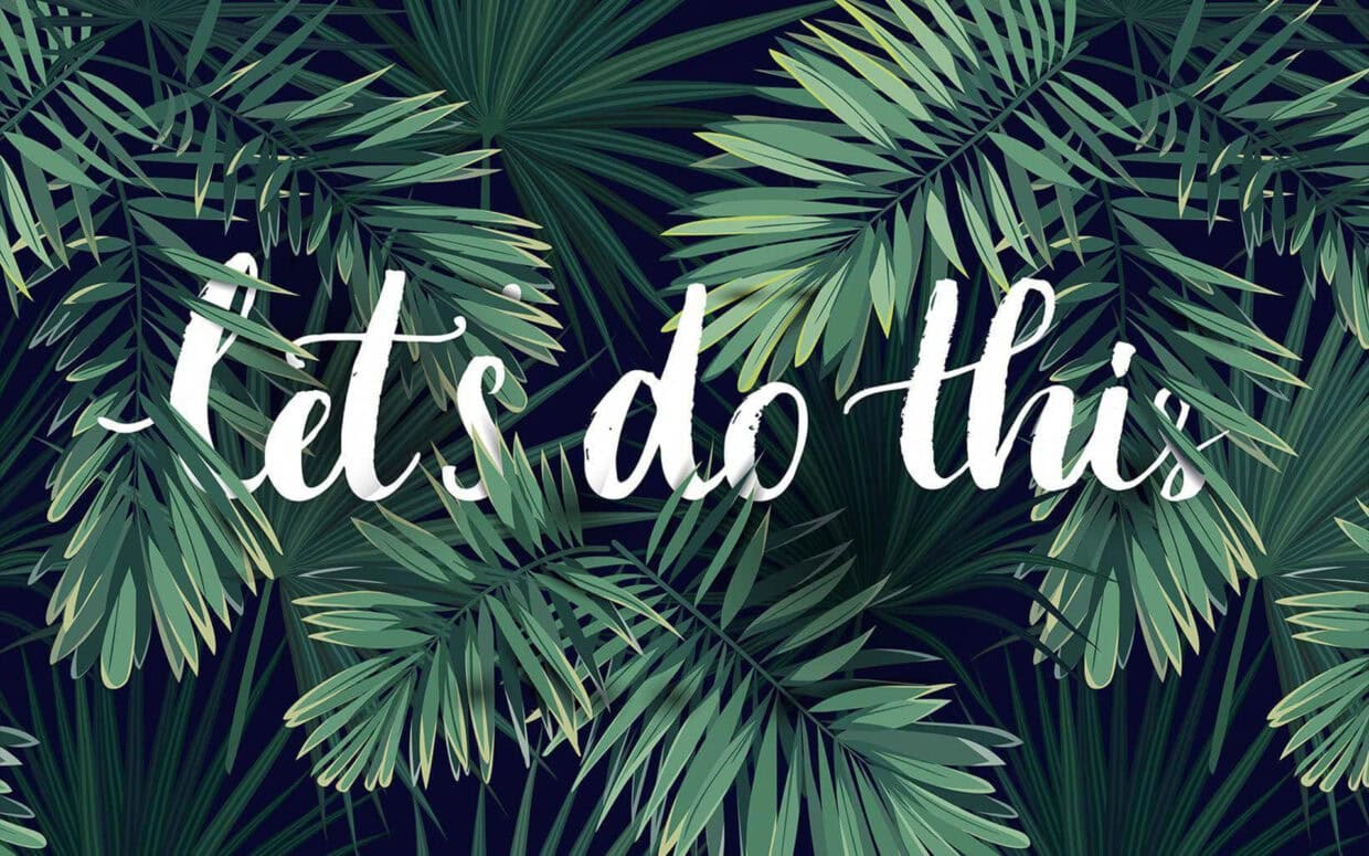 Cute Plant Wallpapers HD - PixelsTalk