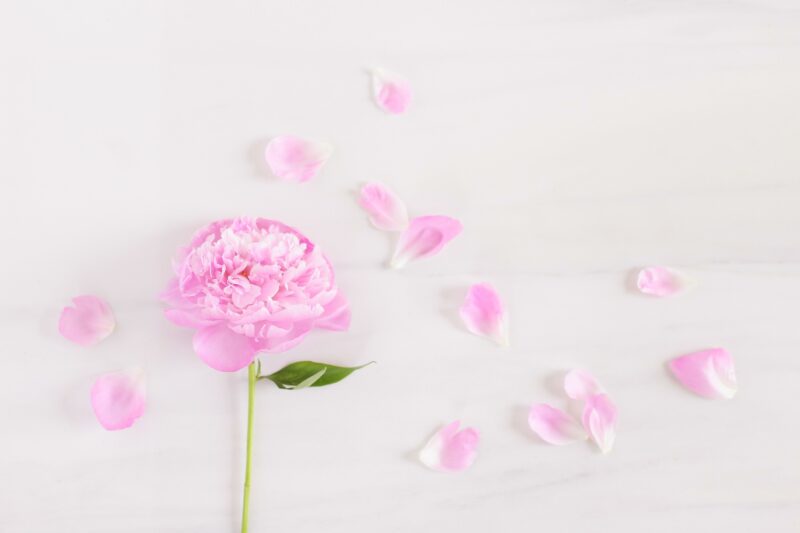 June Wallpapers HD - PixelsTalk