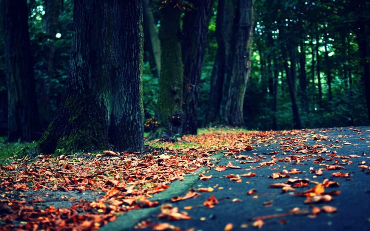 Vintage Fall Computer Wallpapers HD - PixelsTalk