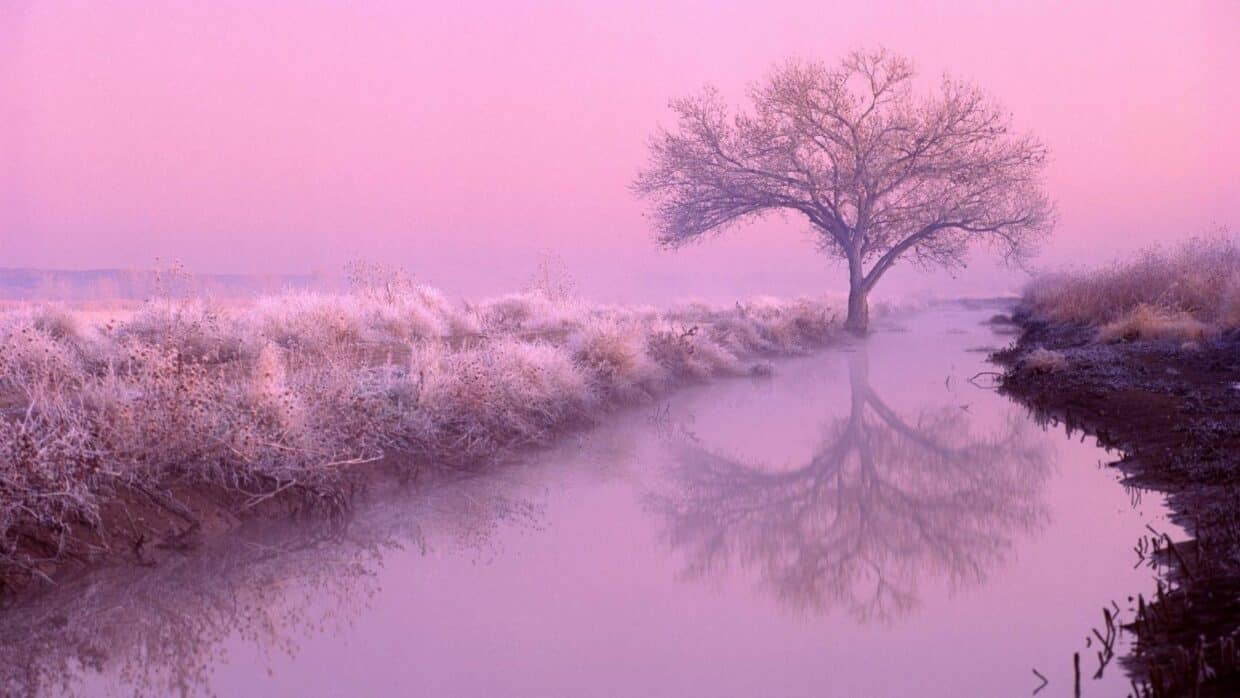 Aesthetic Wallpapers Computer HD - PixelsTalk