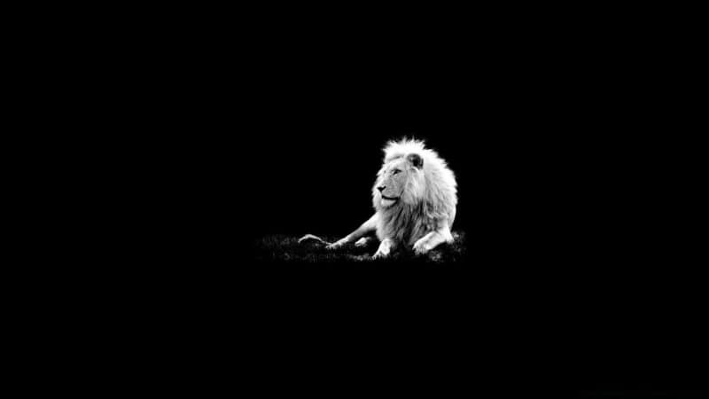 Cute Black Wallpaper HD - PixelsTalk