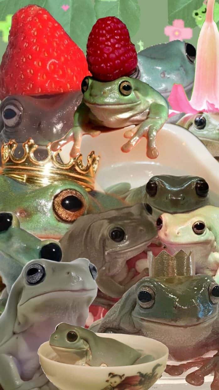 Frog Wallpapers HD High Quality - PixelsTalk