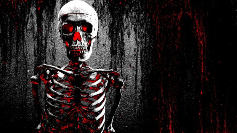 Skeleton Wallpapers HD - PixelsTalk