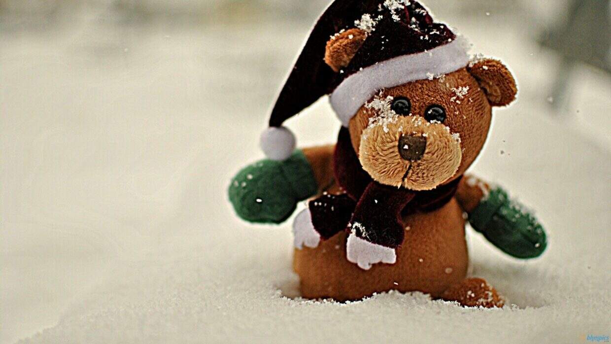 Cute Bear Wallpapers HD - PixelsTalk