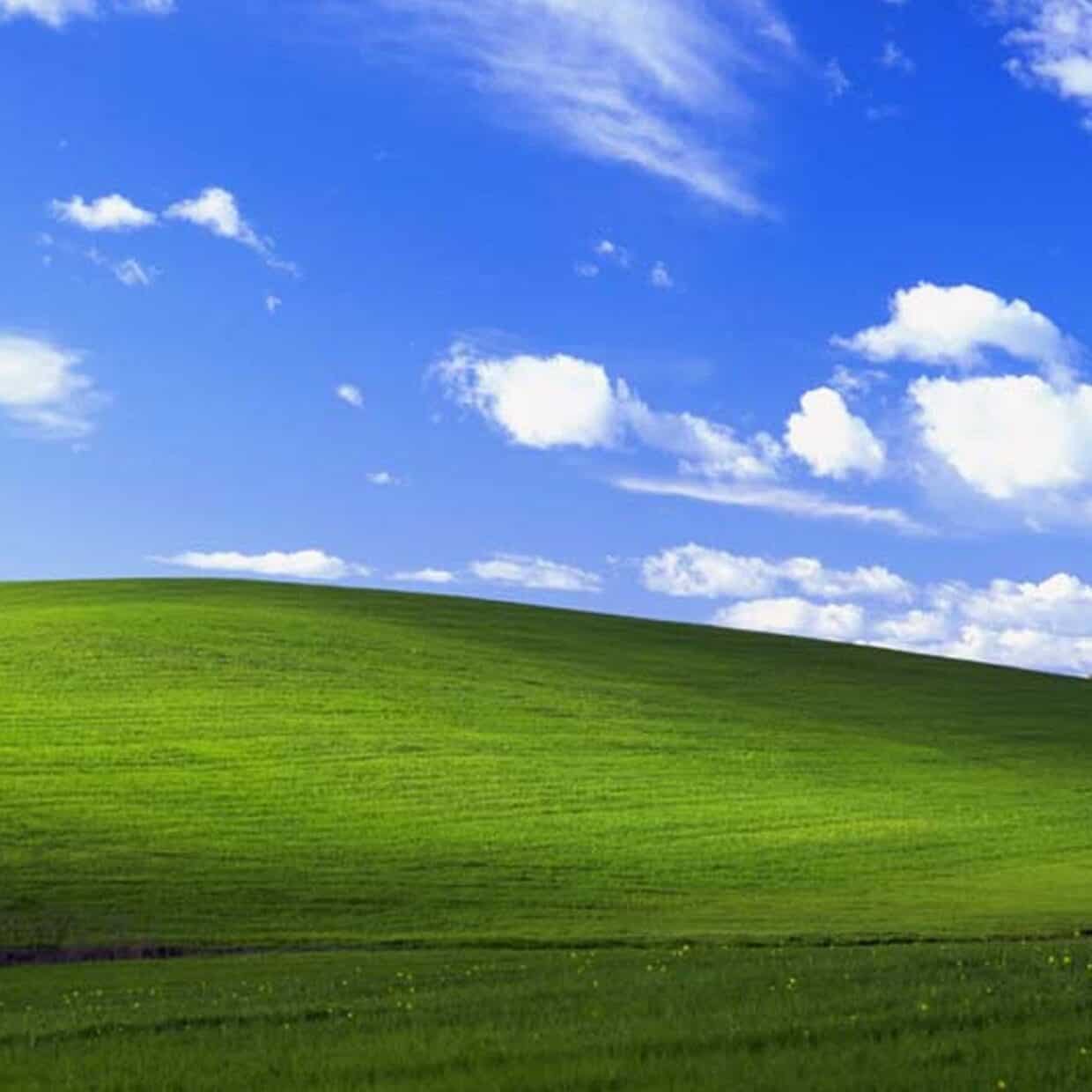 Bliss Wallpapers HD High Resolution - PixelsTalk