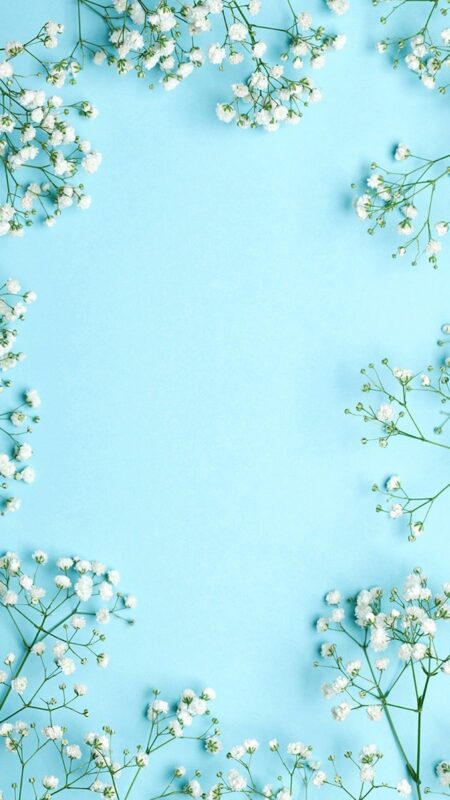 Cute Phone Wallpapers HD - PixelsTalk