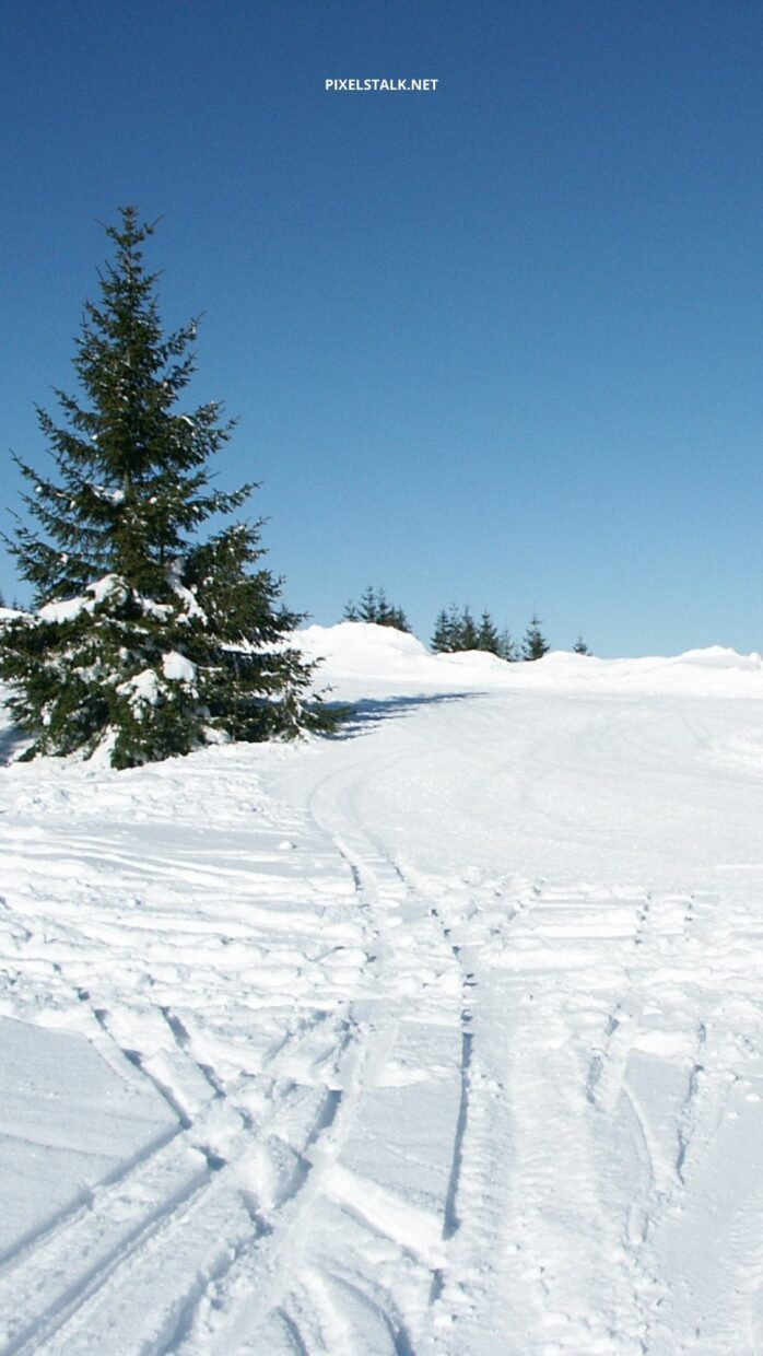 Winter Wallpapers Iphone - PixelsTalk