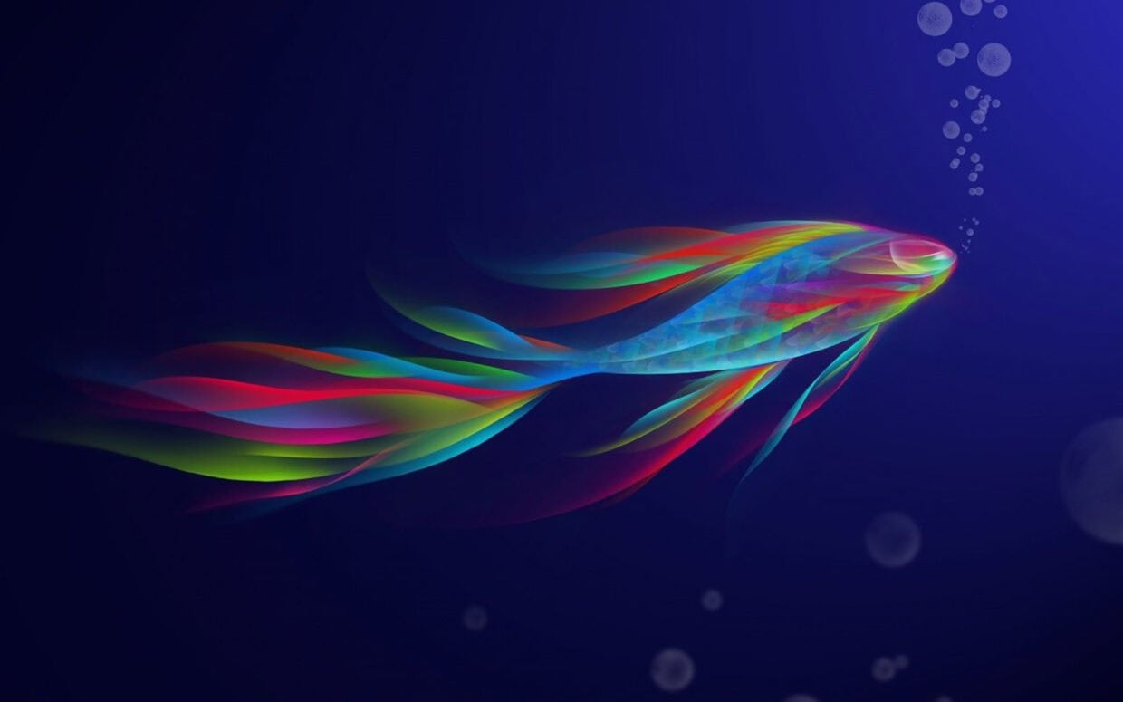 Cool Fish Wallpapers HD - PixelsTalk