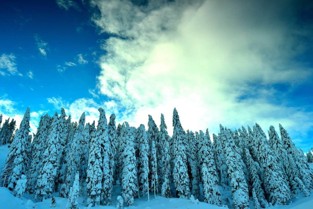 Snow Wallpapers HD - PixelsTalk