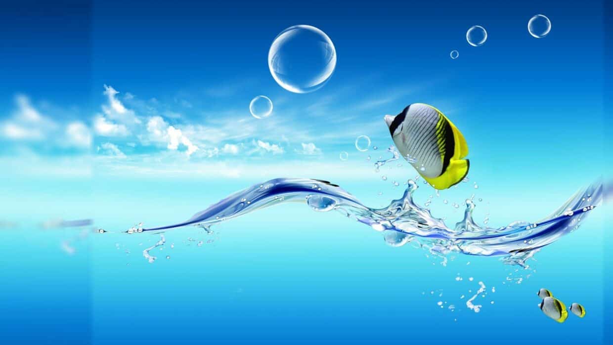 Cute Live Wallpapers HD - PixelsTalk