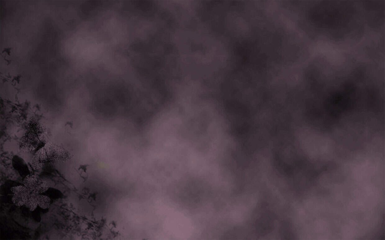 Cute Plain Backgrounds Desktop - PixelsTalk