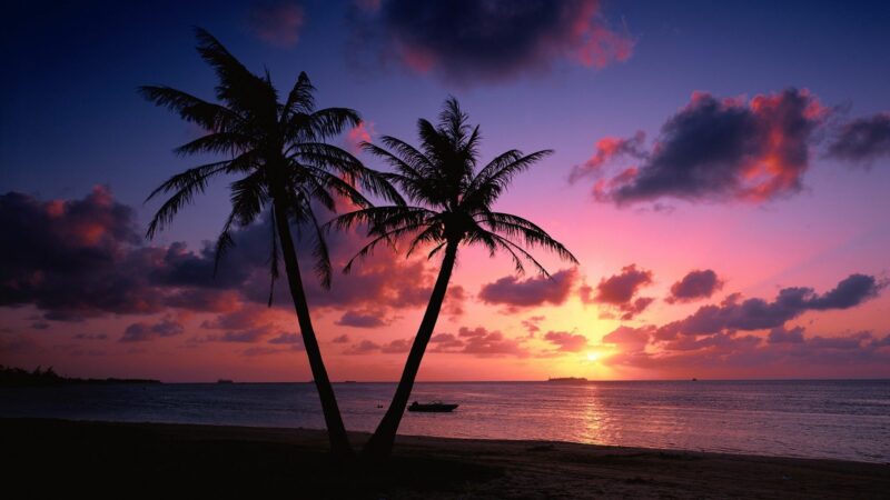 Cute Sunset Wallpapers HD - PixelsTalk